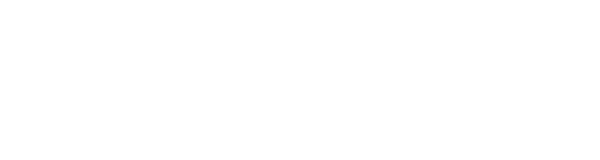 Rego University | Clarity and Rally Software Training | Rego Consulting